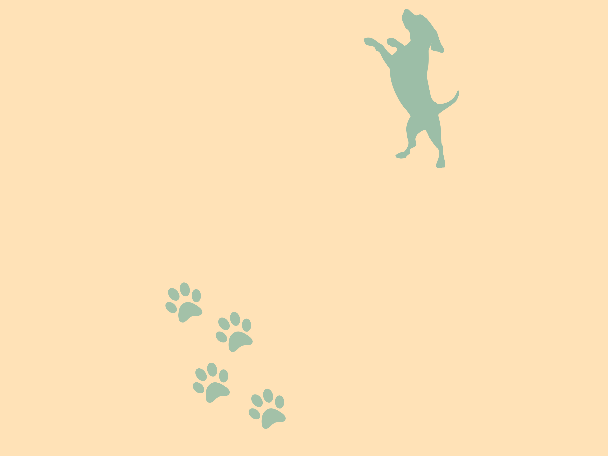 予約＆アクセス - 灘区 トリミングサロン KELEV